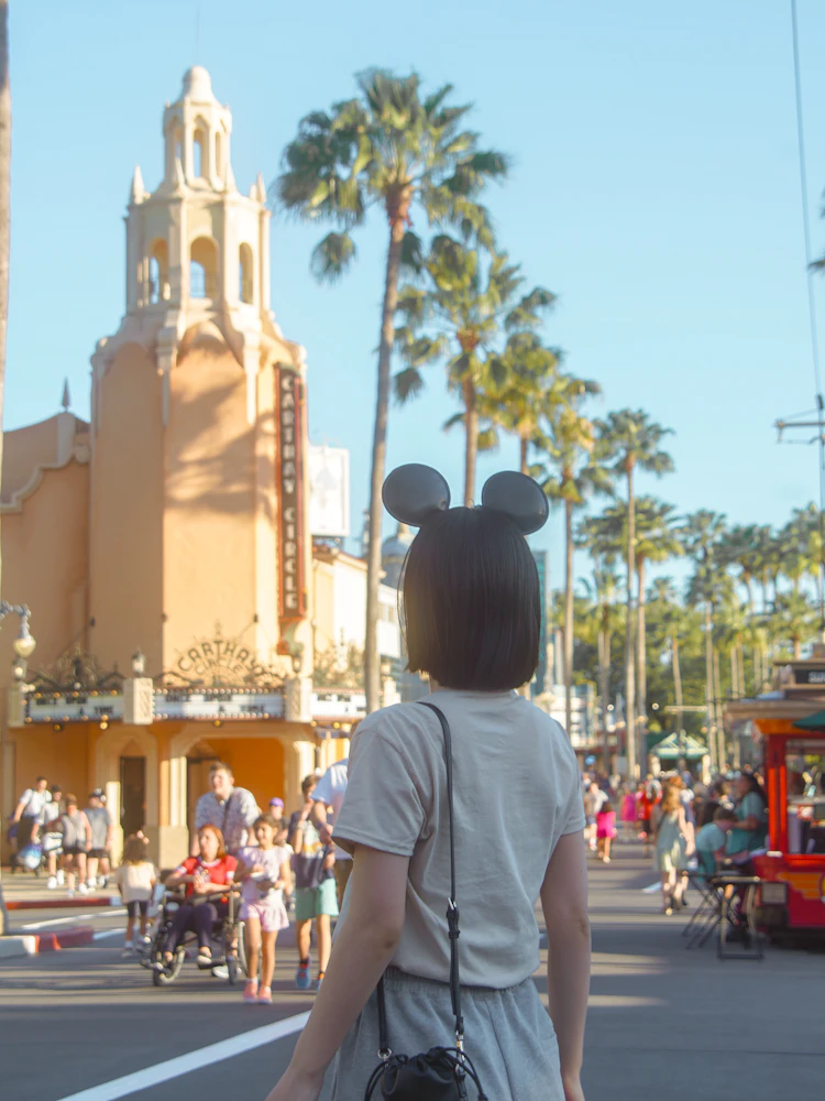 初めてでも安心！ フロリダ ウォルト・ディズニー・ワールド・リゾートの基本情報&直営ホテルをご紹介｜tabimuse